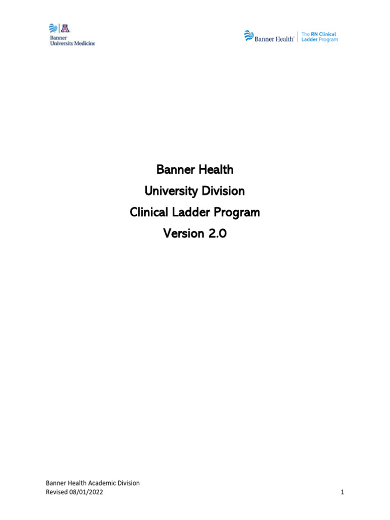 Clinical Ladder Packet 8.2.22 | PDF | Nursing | Health Equity