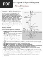 Understanding Grass Structure | PDF | Plants | Botany