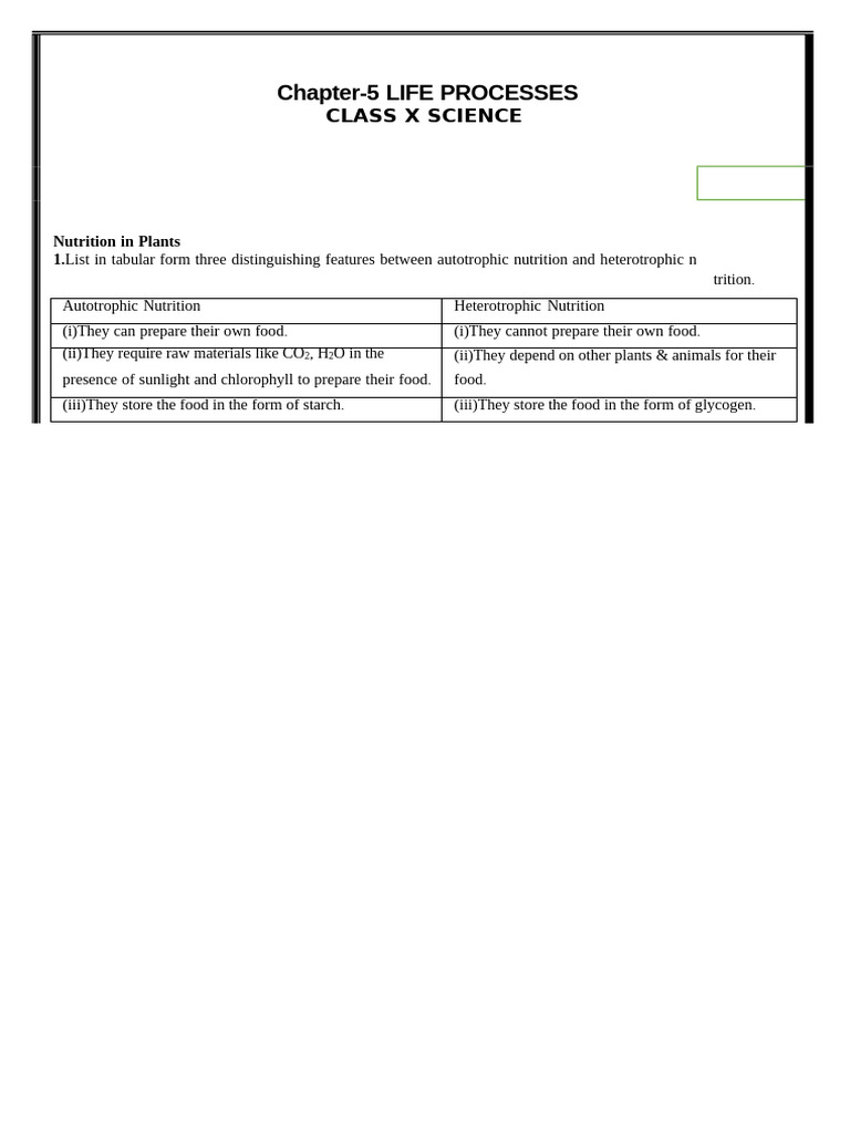Photosynthesis & Human Nutrition | PDF | Digestion | Heart