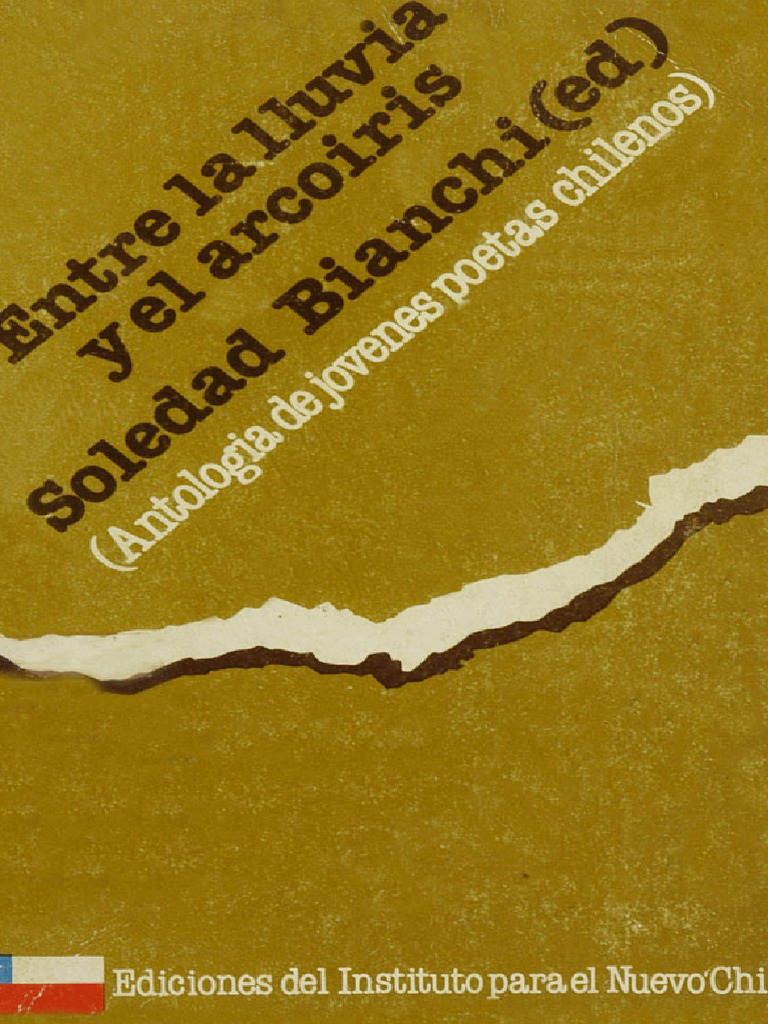Soledad Bianchi Entre La Lluvia y El Arcoíris | PDF | Las artes | Escritura