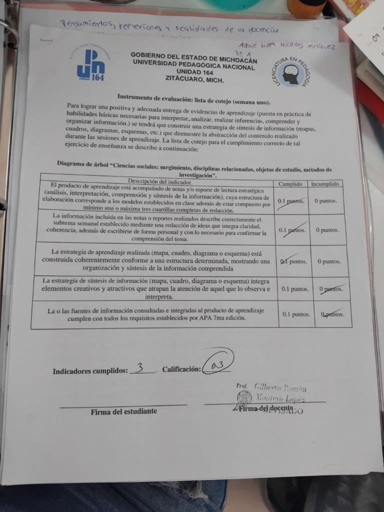 Ashlie Lizet Nicolas Marquez 2.0 | PDF | Aprendizaje | Evaluación