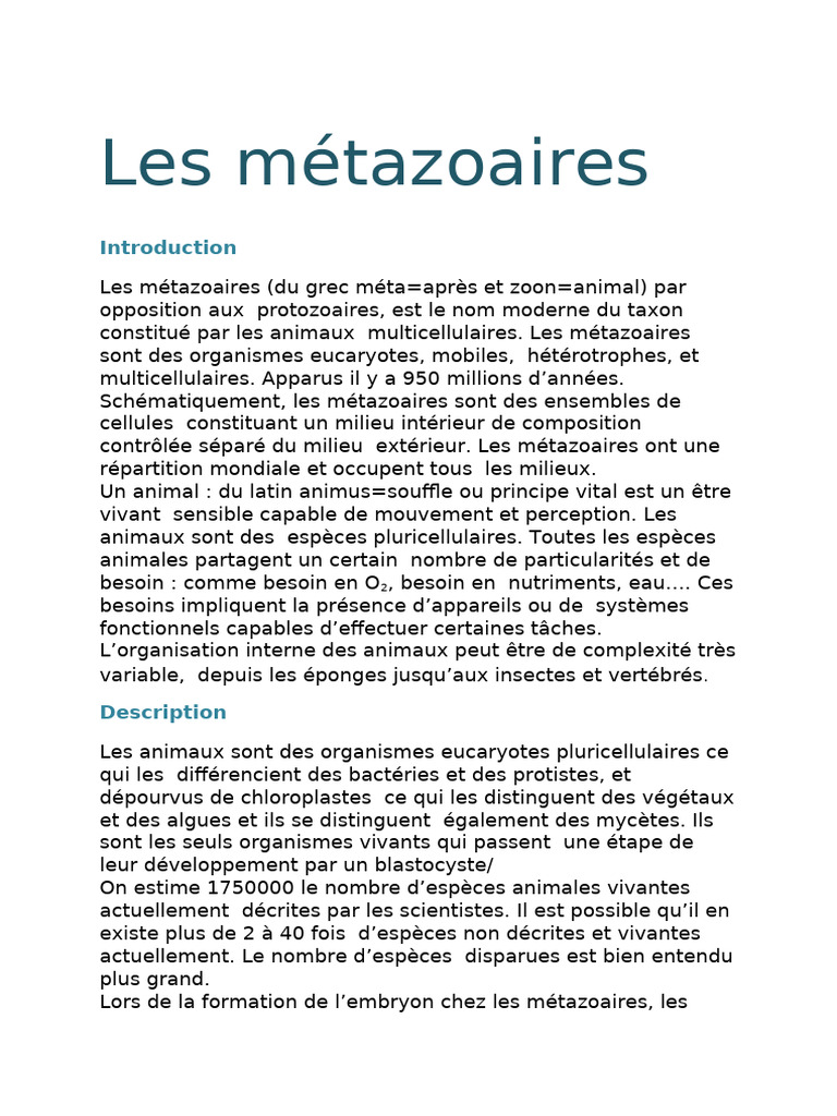 Classification des métazoaires | PDF | Éponge