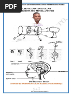 Primary Science-Maneb Papers | PDF | Agriculture | Vegetables