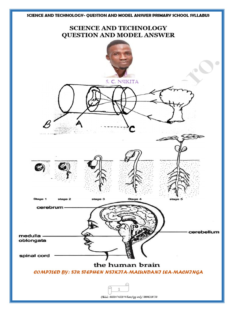 Science - Question and Model Answer-Primary | PDF | Flowers | Foods