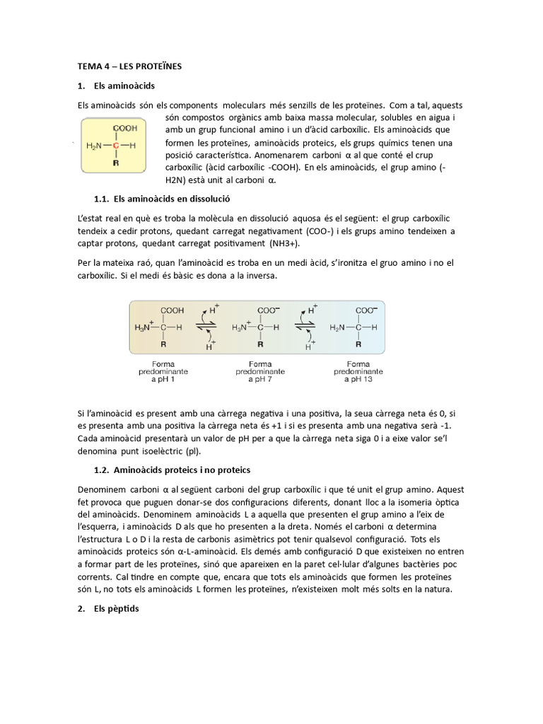TEMA 4 Les Proteïnes | PDF
