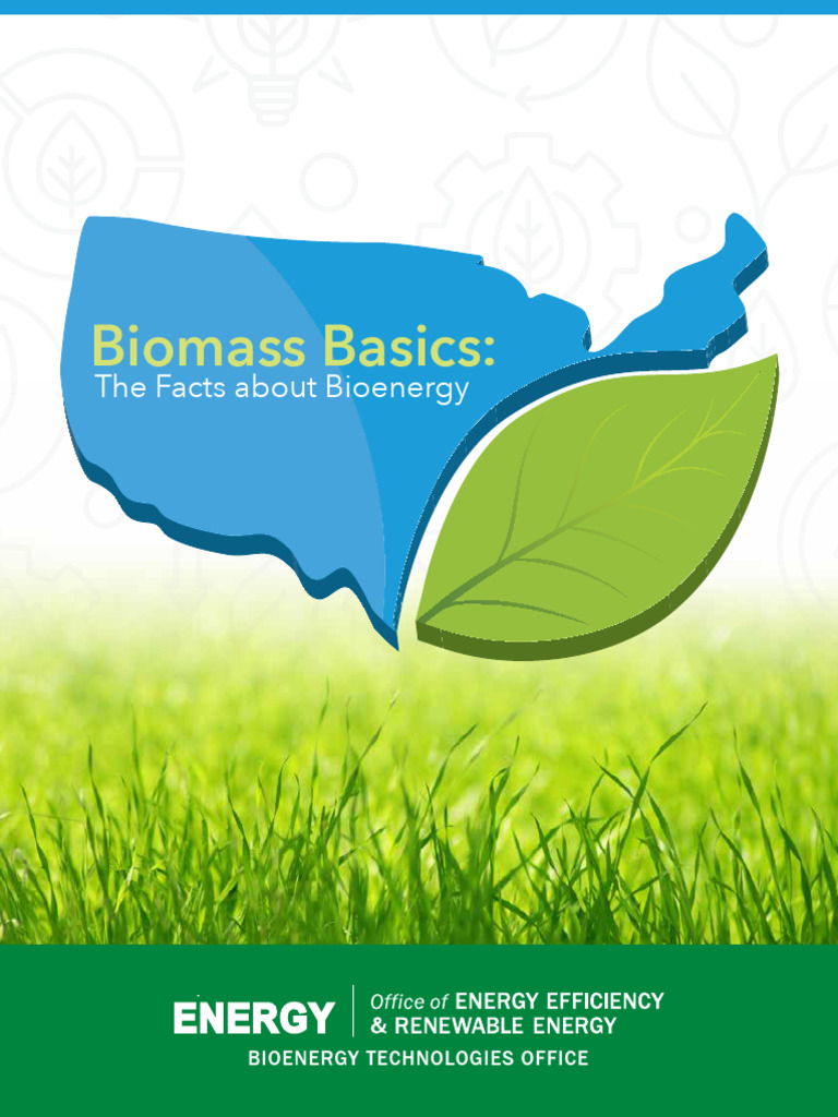 Bioenergy Insights for Energy Enthusiasts | PDF | Biofuel | Bioenergy