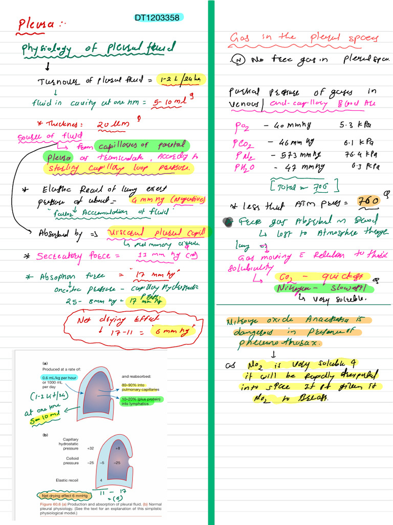 Thorax Notes PDF by DR Gopal Naik Sir | PDF | Medical Specialties ...
