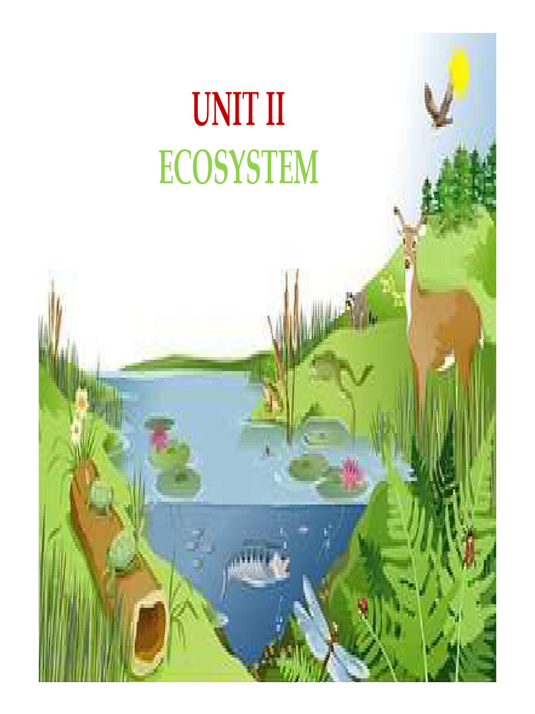 MA-Envt Studies-UNIT I & II | PDF | Primary Production | Food Web