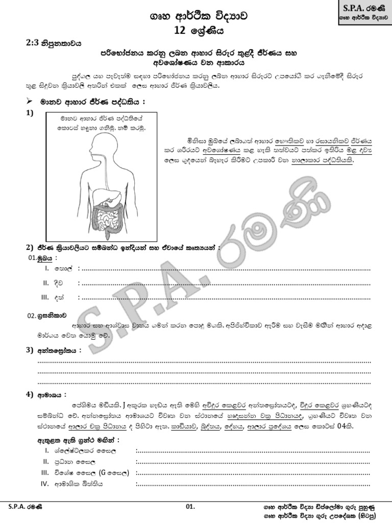 Tute (2.3lesson) | PDF