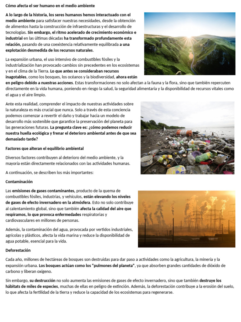 Impacto Humano en el Medio Ambiente | PDF | Contaminación | Deforestación