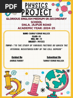 Pikachu Turtle Code | PDF