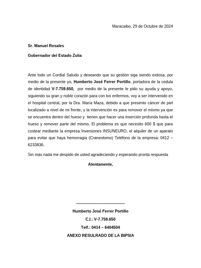 Carta AL GOBERNADOR | PDF
