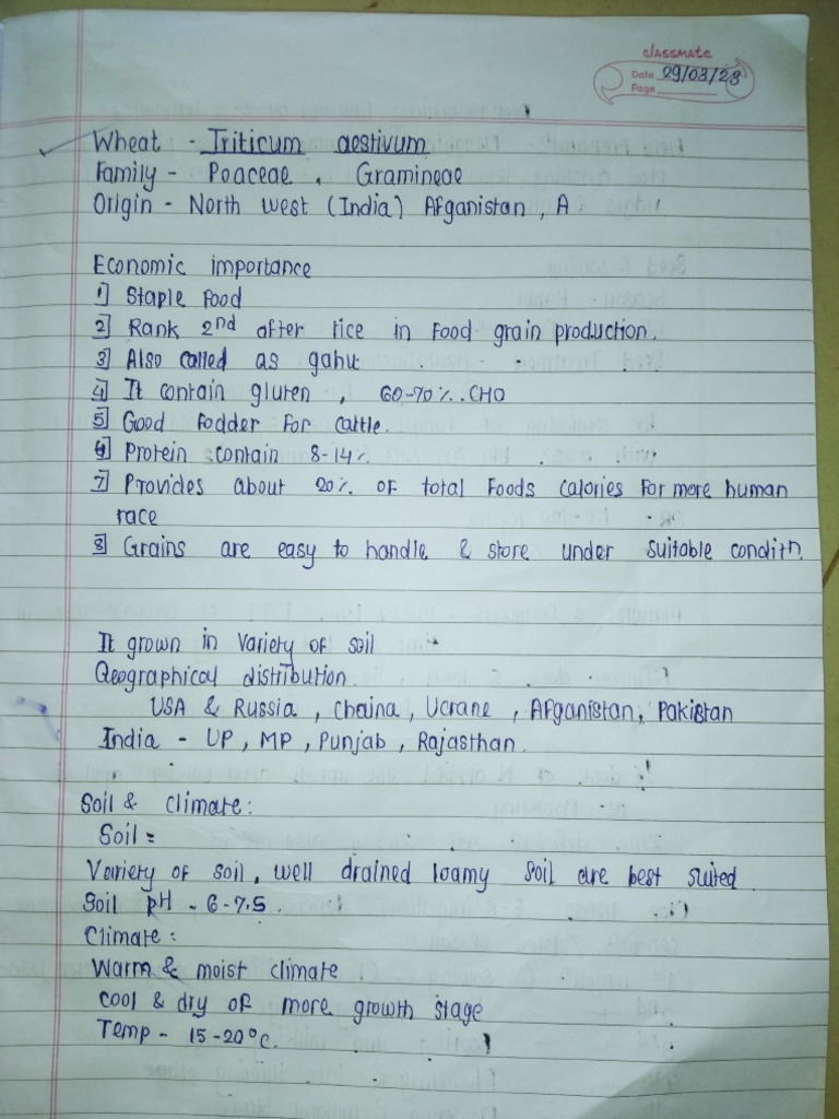 AGRO Imp Notes For Exam | PDF