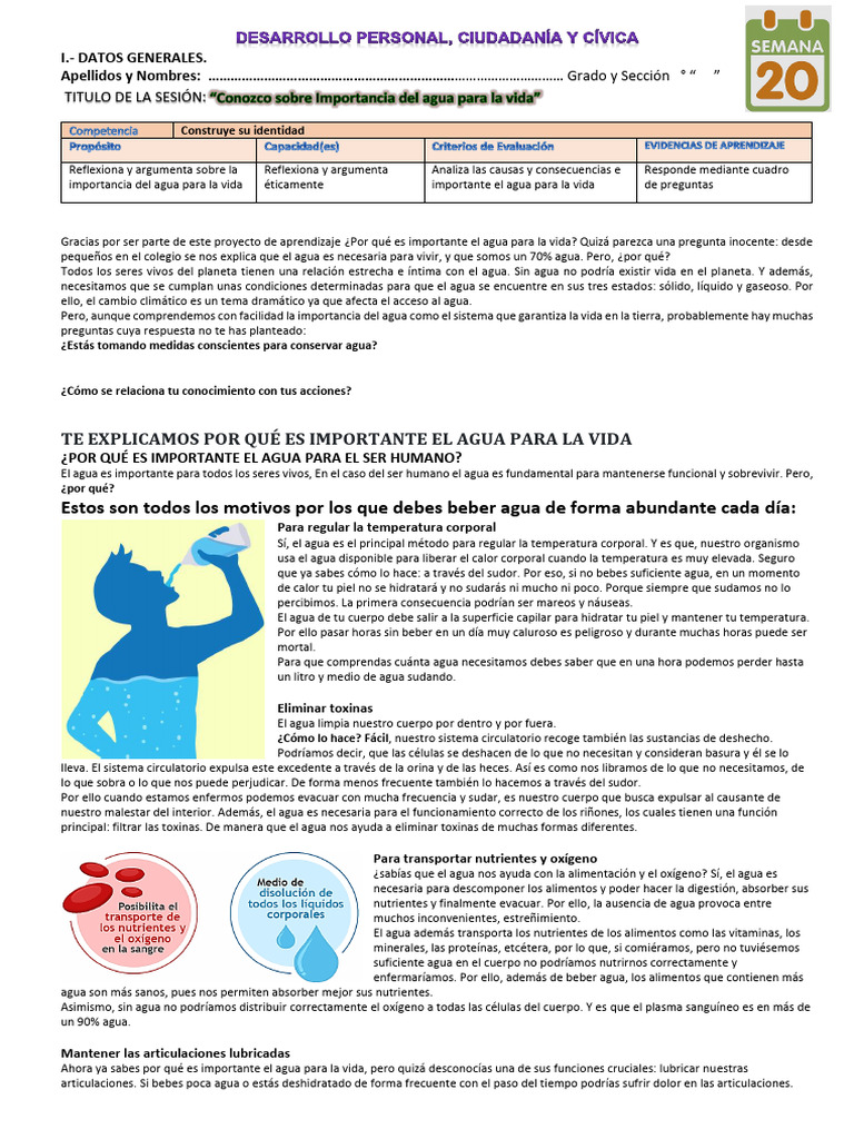 S 20 Importancia Del Agua para La Vida | PDF | Agua | Articulación