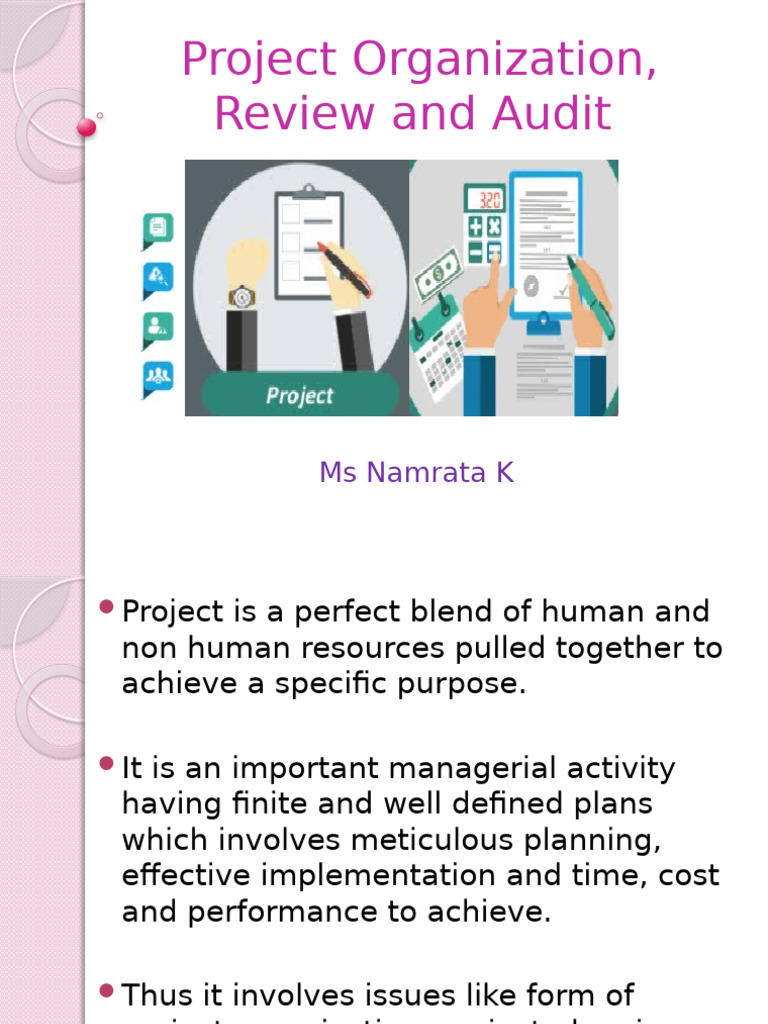 PM Project Organisation | PDF | Project Management | Organizational ...