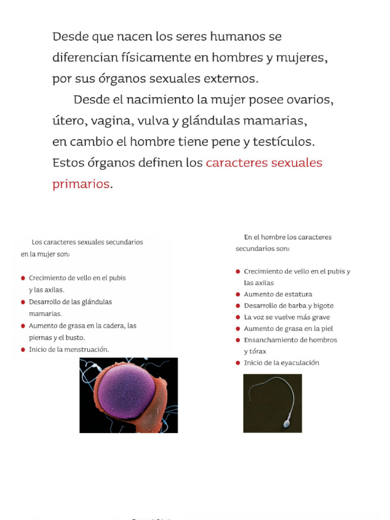 APARATOS REPRODUCTORES | PDF