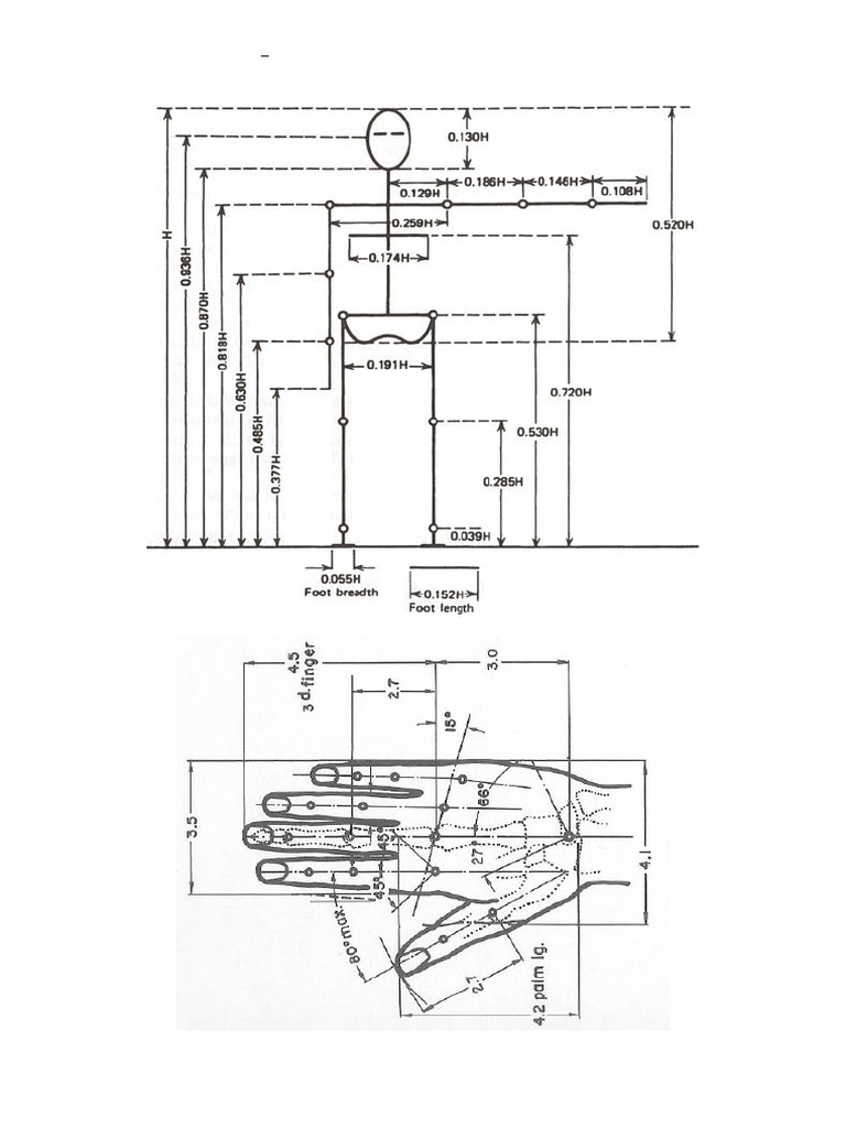 Anthropometric Data Pdf