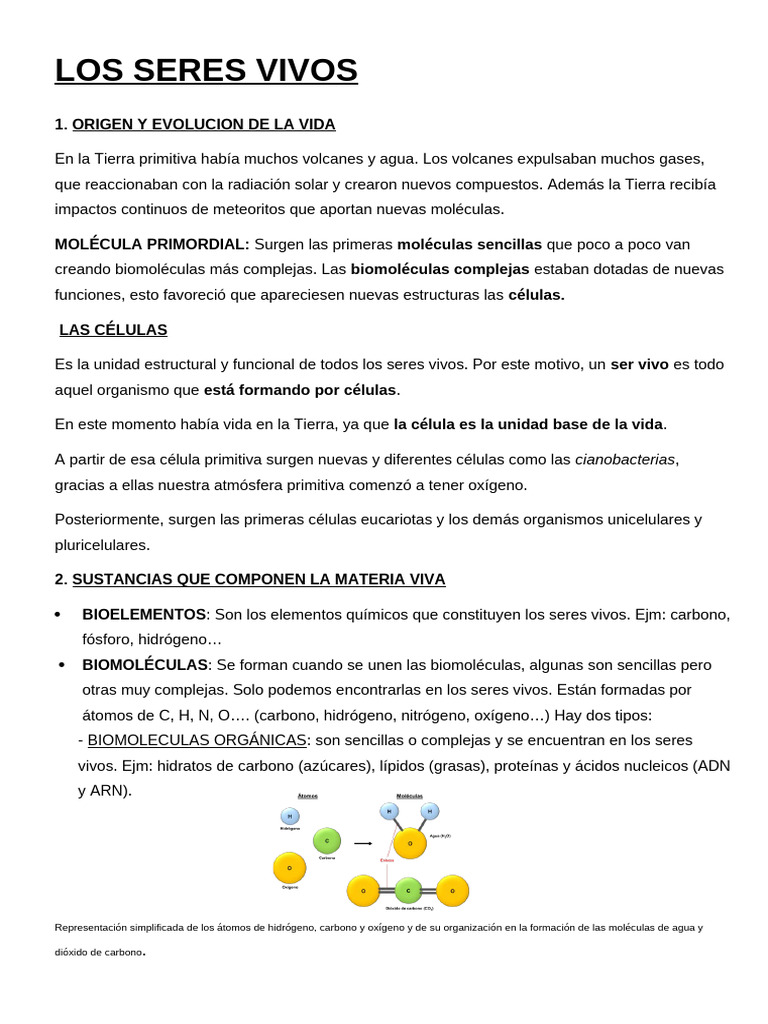 Origen y Estructura de los Seres Vivos | PDF | Biología Celular ...