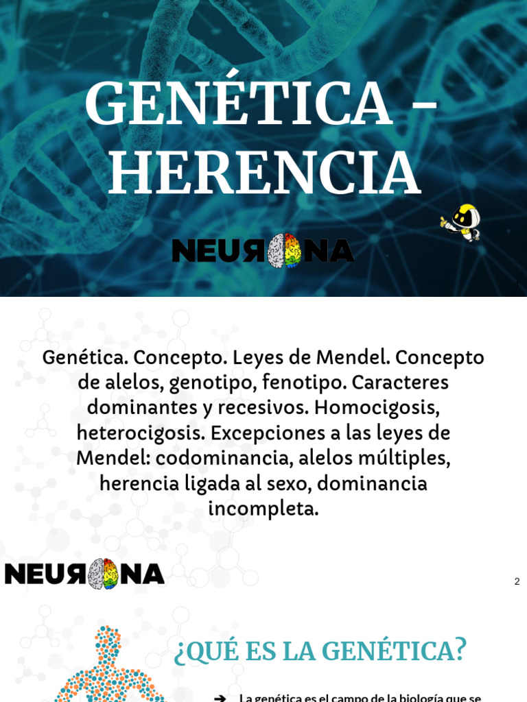 Genética y Herencia U. 2 | PDF | Dominancia (Genética) | Alelo