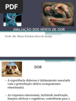 Escalas de Dor Lanns e Eva | PDF | Dor | Sentidos