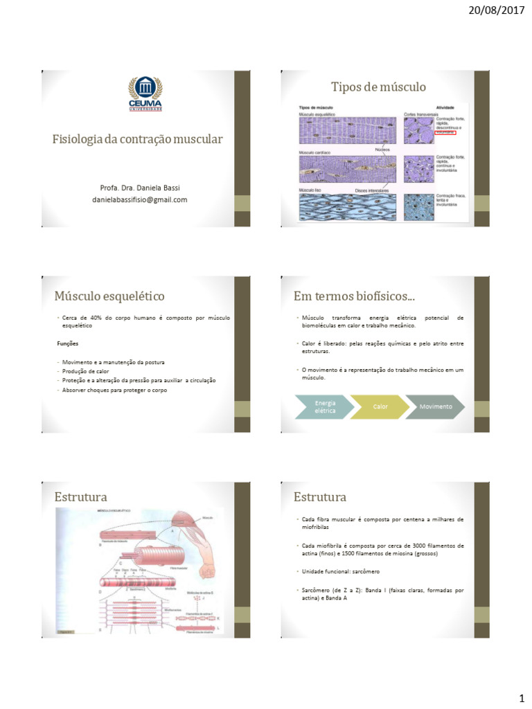 Aula 1B - Fisiologia Da Contração Muscular - Daniela Bassi | PDF ...