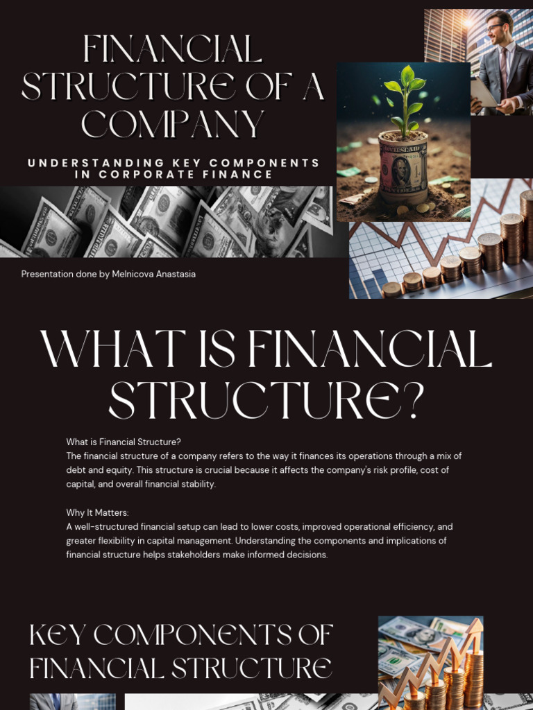 Financial Structure of a Company | PDF | Stocks | Equity (Finance)