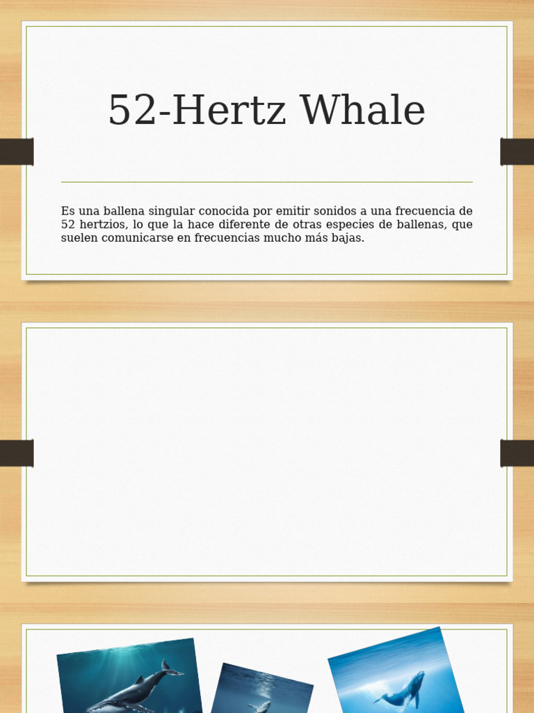 52-Hertz Whale | PDF