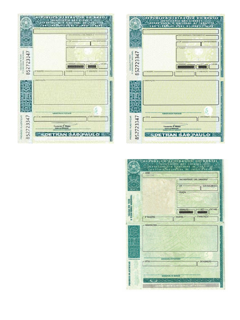 Cnh Sp editavel_20250109_161530_0000 | PDF