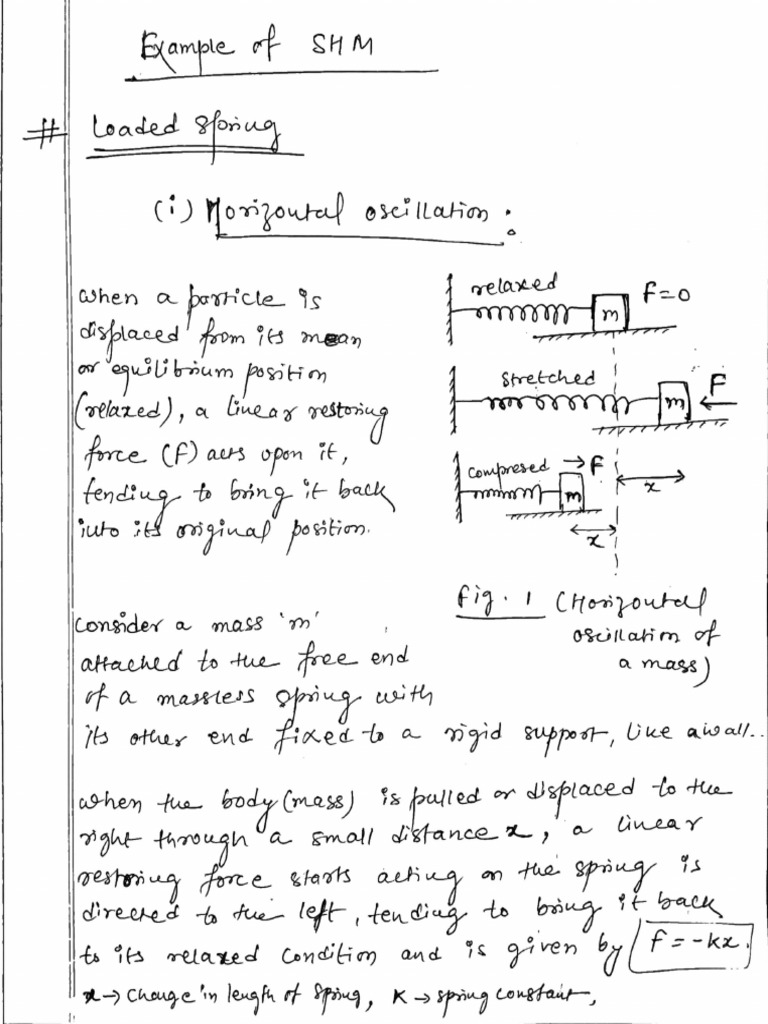 Example of SHM (1) | PDF