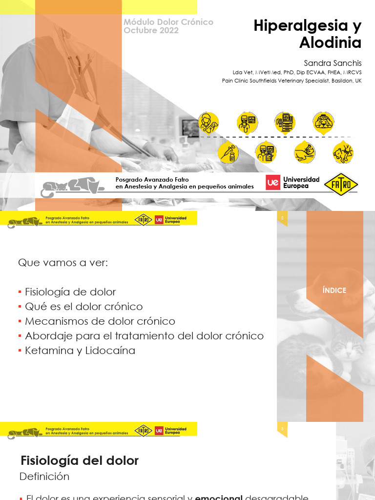 Hiperalgesia y Alodinia | PDF | Dolor | Sistema nervioso