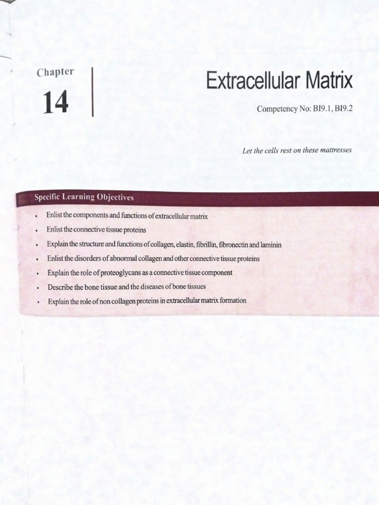 Extracellular Matrix 10-Nov-2024 21-02-09 | PDF