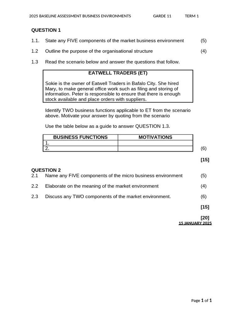 Grade 11 Business Environment Assessment | PDF