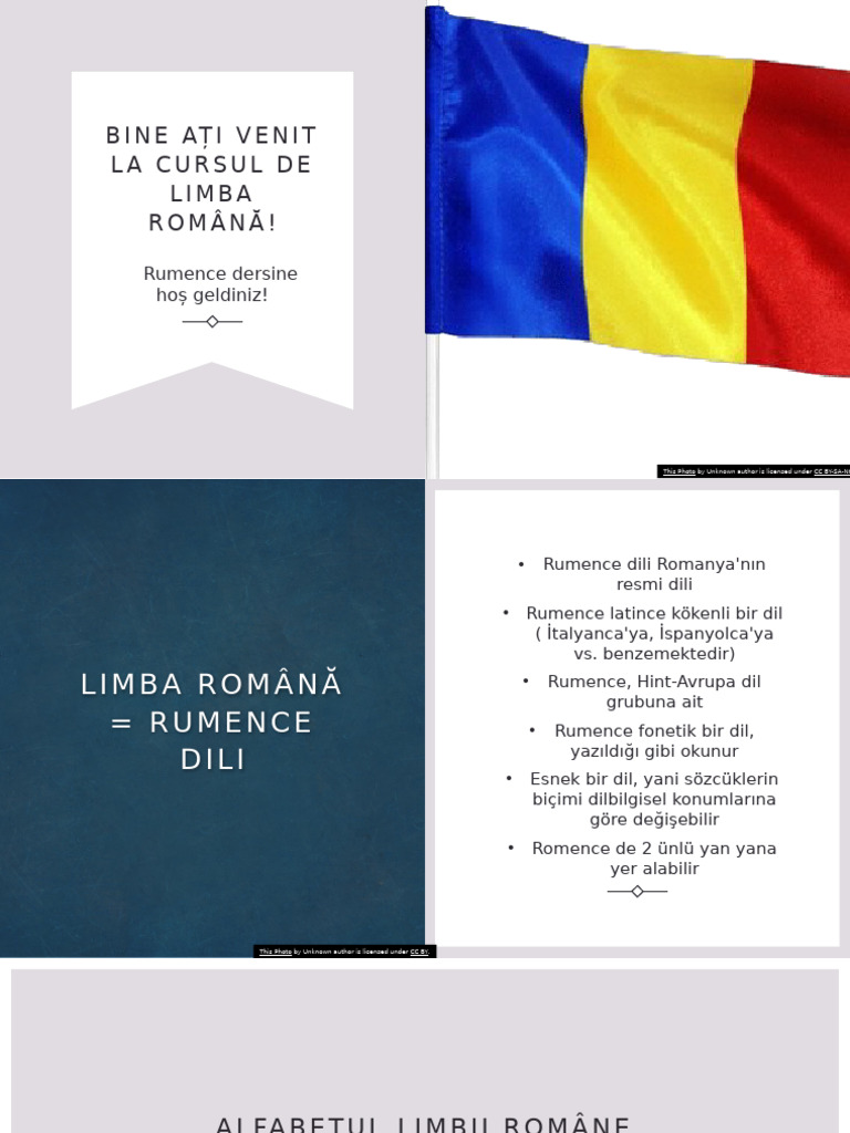 Curs Introductiv LB Romana | PDF