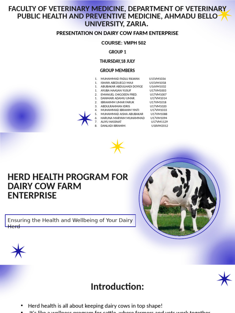 Dairy Cow Farm Enterprise (Group One) | PDF | Dairy Cattle | Cattle