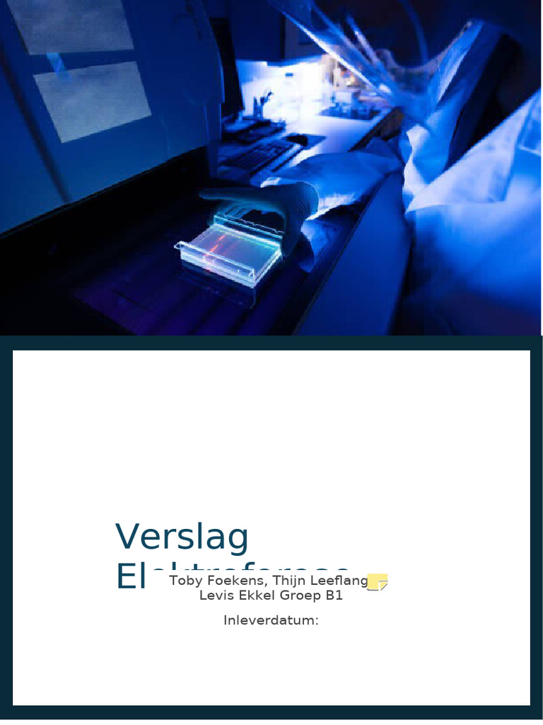Verslag Elektroforese Groep B1 | PDF