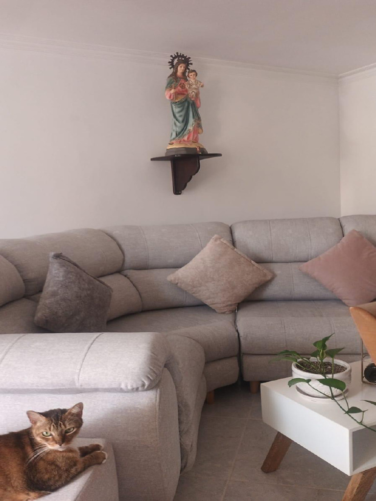 Scan 16 Ene 25 15 25 59 | PDF