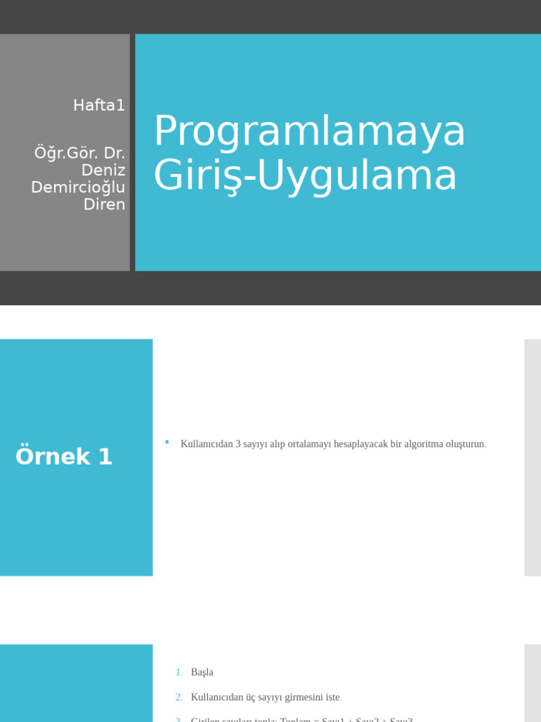 1 Uygulama | PDF