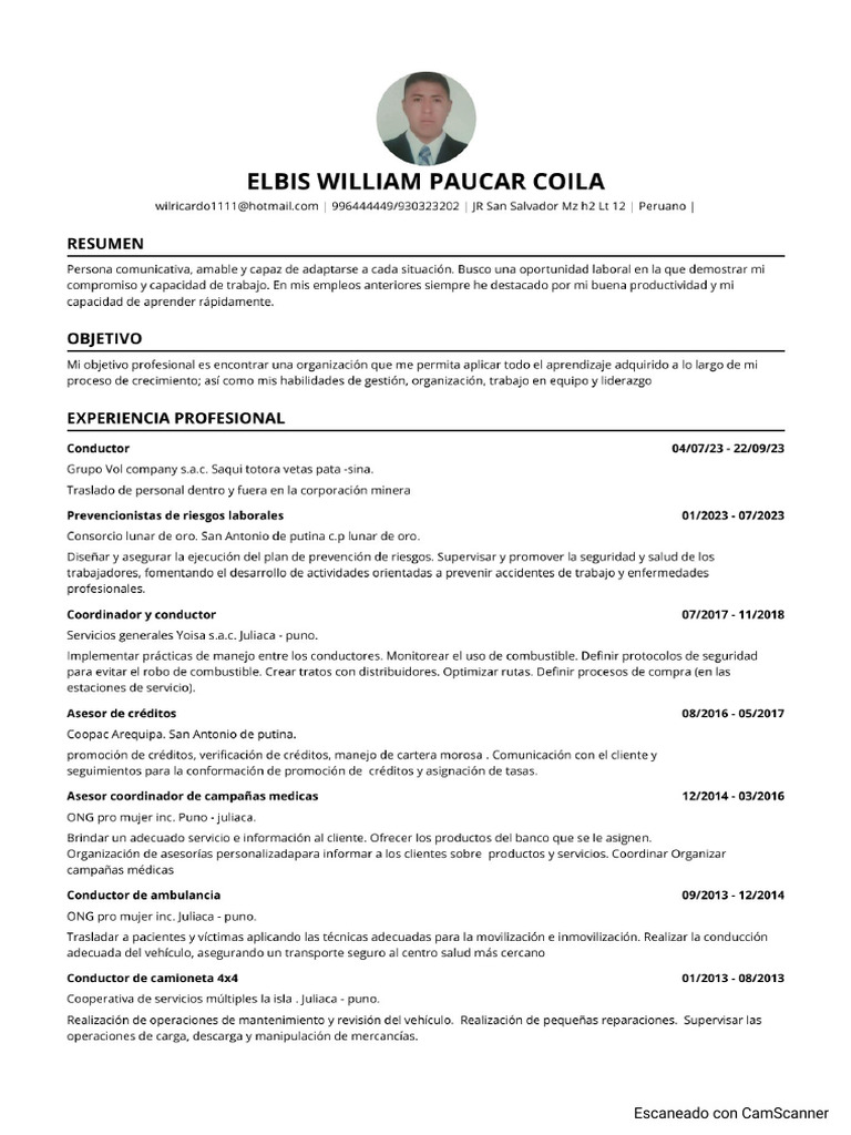 CV WILber Pacheco | PDF