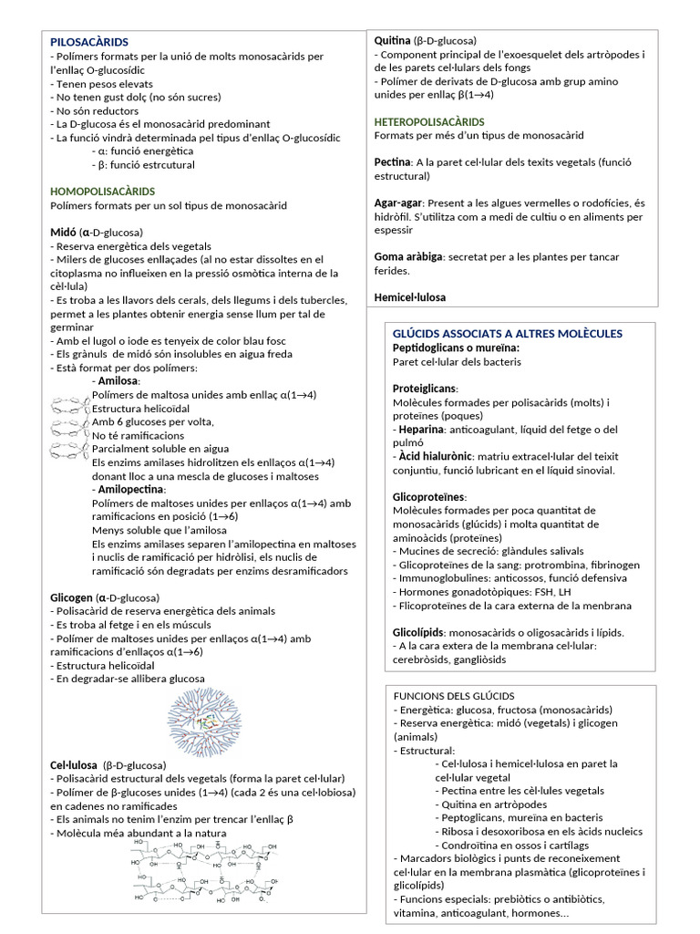 Resum Tema2 (Glúcids) | PDF