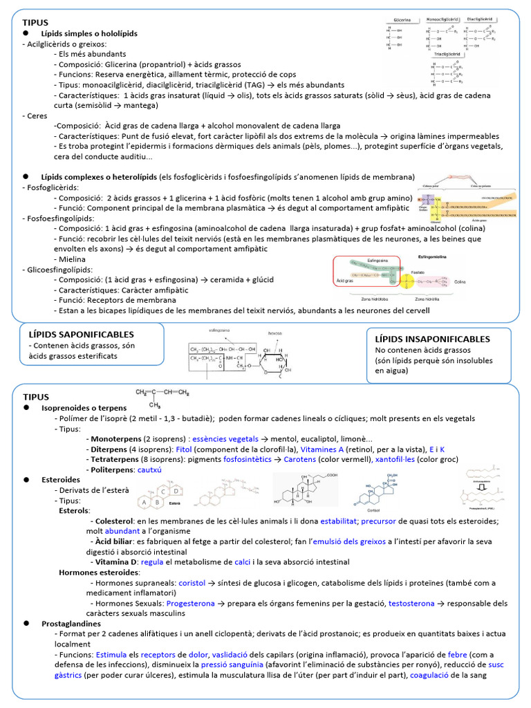 Resum Tema 3 (Lípids) | PDF