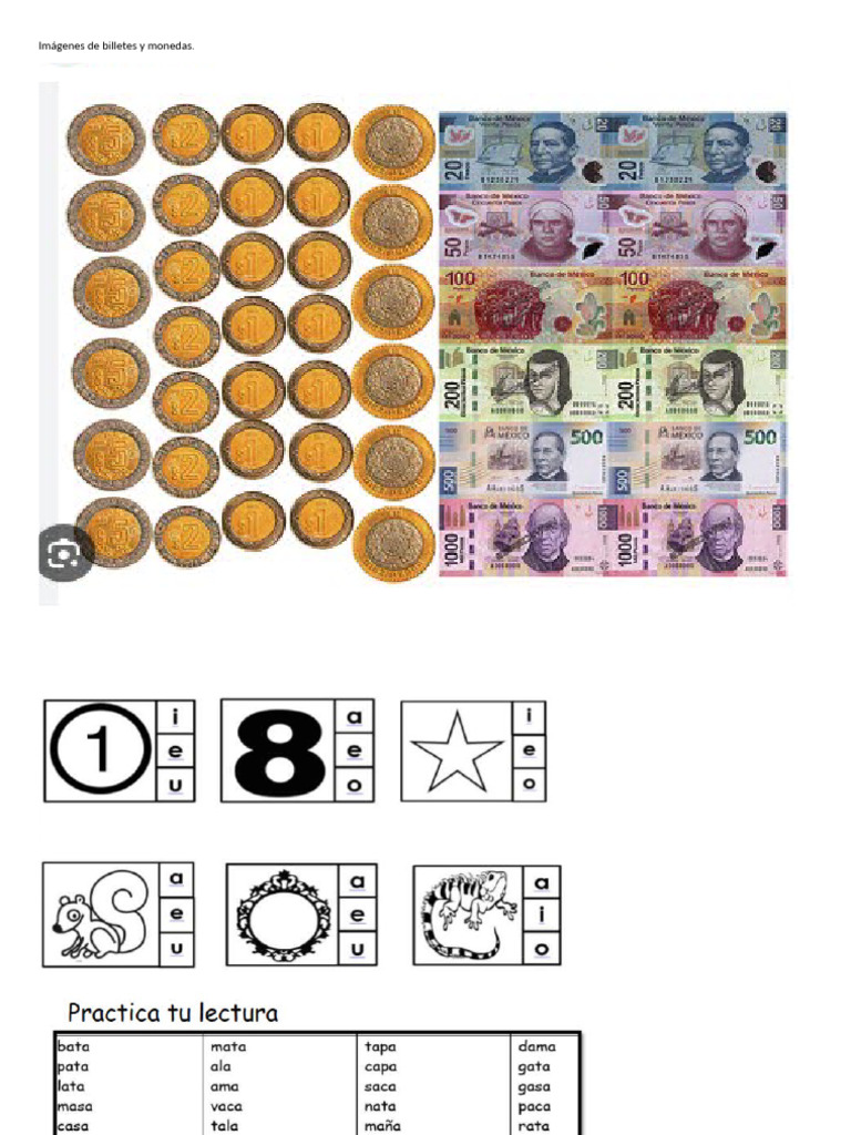 Imágenes de billetes y monedas imprimibles | PDF