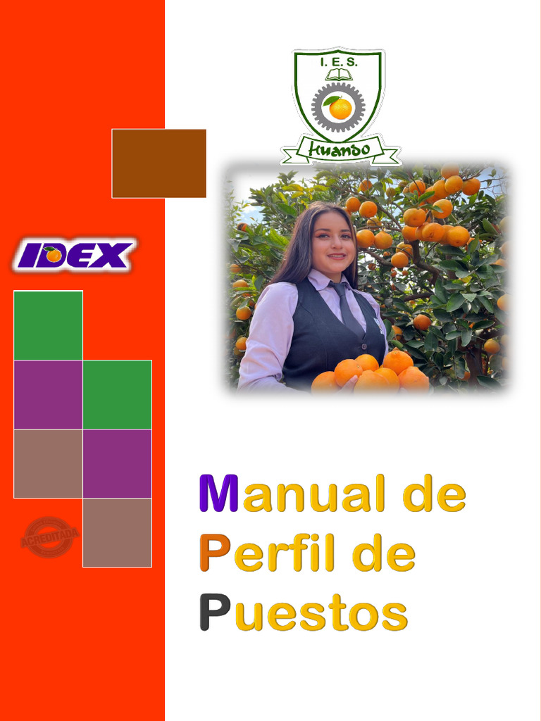 MPP-002 Manual de Perfil de Puestos | PDF | Evaluación | Educación más alta