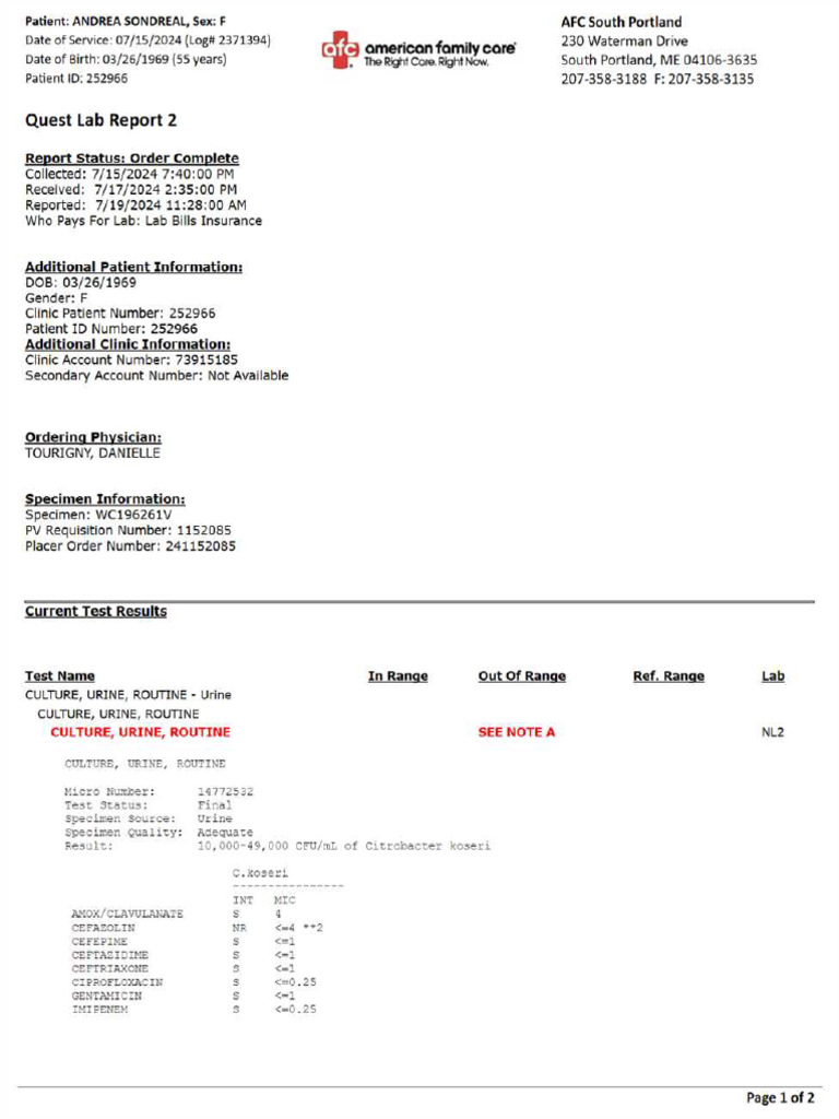 Quest Lab UTI 7:2024 | PDF