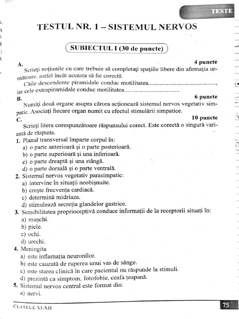 Teste Delfin (11) | PDF