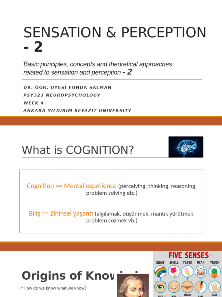 PSY323 Week4 Perception 02112022 | PDF | Perception | Cognitive Psychology