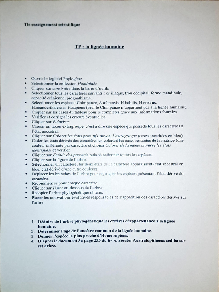 Tp Lignee Humaine Pdf