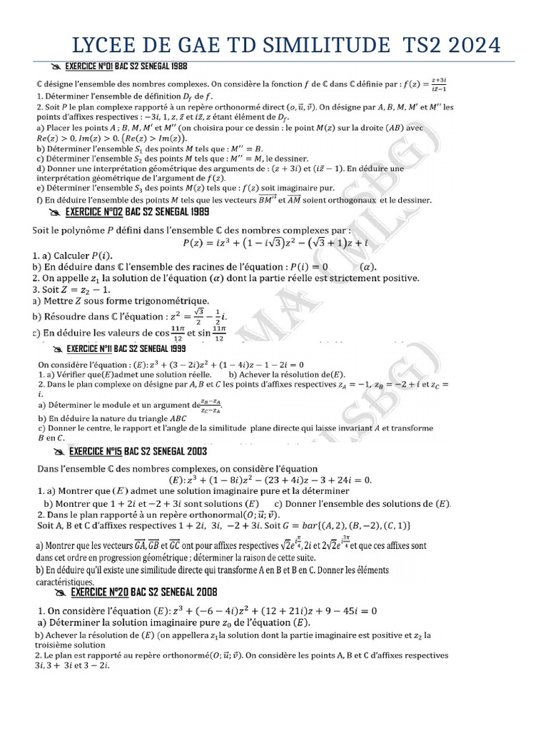 Lycee de Gae TD Similitude TS2 2024 | PDF