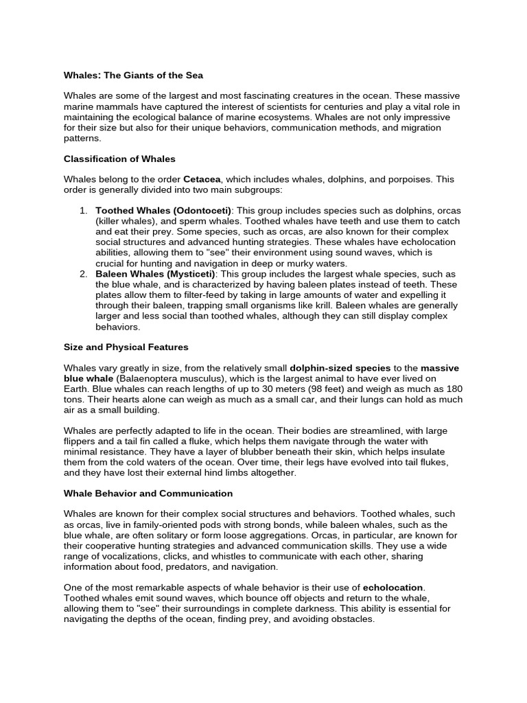 Understanding Whales: Adaptations & Conservation | PDF | Cetacea | Whales