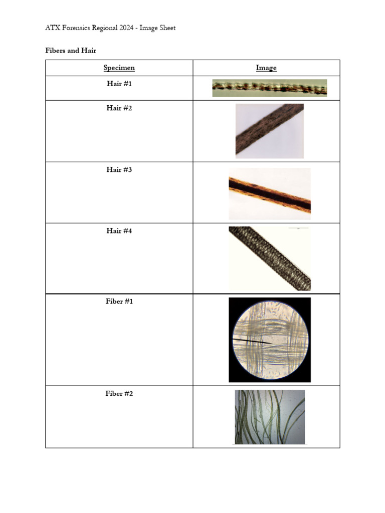 Forensics Image Sheet | PDF