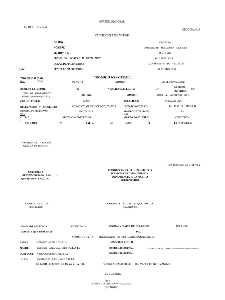Curriculum de Emmanuel Arellano V. | PDF